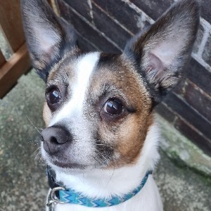 Mother's Day Classic Foundation - Susan Marr